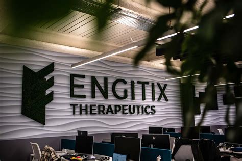 Engitix Phase 2