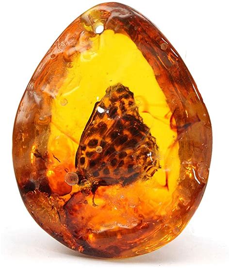 Amber Fossils Artofit