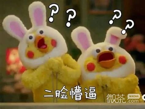 Docomo Docomo