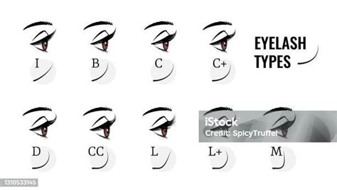 속눈썹 유형 곡선 여성 속눈썹 확장 다양한 길이와 굽힘 긴 가짜 속눈썹으로 여성의 눈의 프로필 보기 얼굴 메이크업의 고립 된 모델 벡터 뷰티 살롱 서비스 속눈썹에 대한 스톡