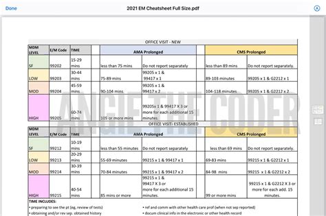 2021 E M Coding Guide Laminated Etsy