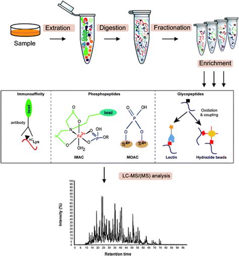 Analysis Of Post Translational Modifications Artofit