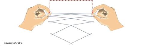 Measuring Mesh Size As The Length Of A Whole Stretched Mesh Download Scientific Diagram