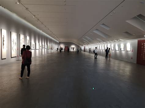 三大展览同日亮相！四川美术馆开启2023年春季展览 四川在线