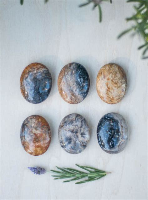 Fossilized Palm Root Palm Stone Palm Stones Village Rock Shop