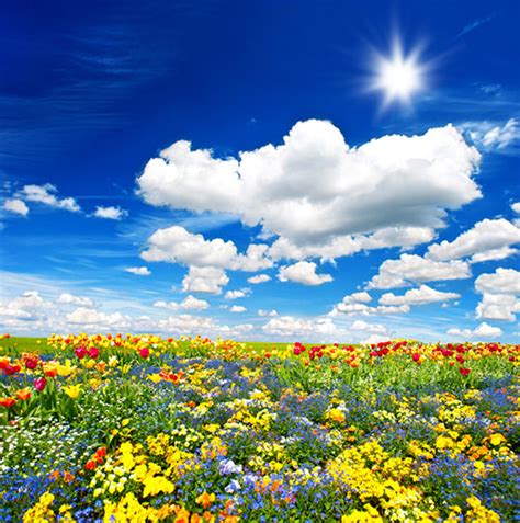 Hooray It S Finally Spring Winds And April Clouds Of Course