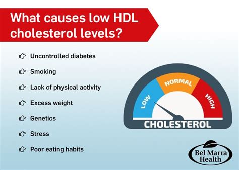 62 Best Cholesterol Images On Pinterest Cardiovascular Disease Heart