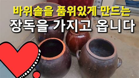 바위솔을 품위 있게 만드는 장독항아리를 구해옵니다 Youtube