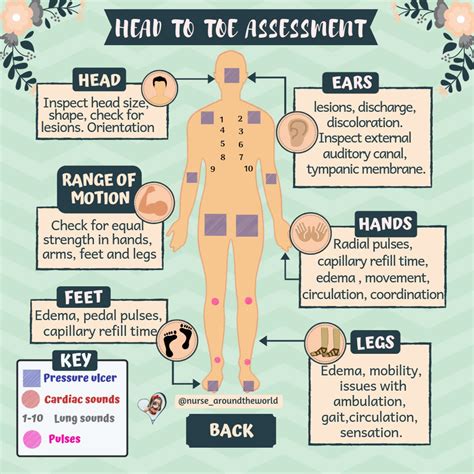 Head To Toe Assessment Head To Toe Assessment Face Pupils Symmetry