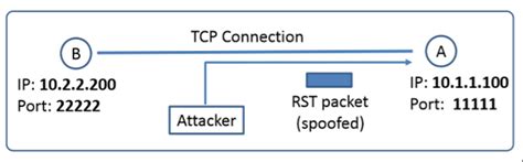 Solved Please Briefly Describe The Principle Of Tcp Reset