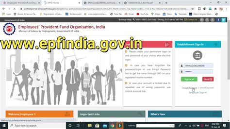 Download PF Certificate Forgot Epfo Password Epf Code Allotment Letter YouTube
