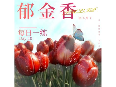 第十天膨胀效果 毛毛可怜鬼 站酷ZCOOL