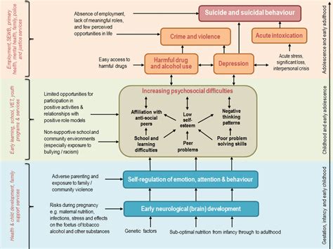 Developmental Pathways Reflecting A Life Course Approach To Download Scientific Diagram