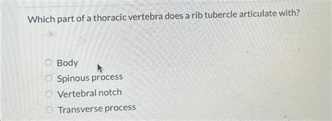 Solved Which Part Of A Thoracic Vertebra Does A Rib Tubercle
