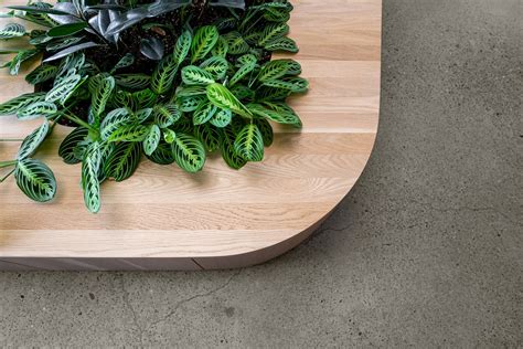 Northwest Functional Neurology By Fieldwork Design And Architecture Architizer