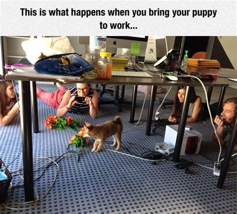 Funny Pic Dump 4 8 15