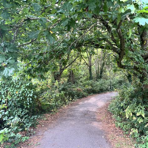 Path 366photos2024 James Clay Stuff