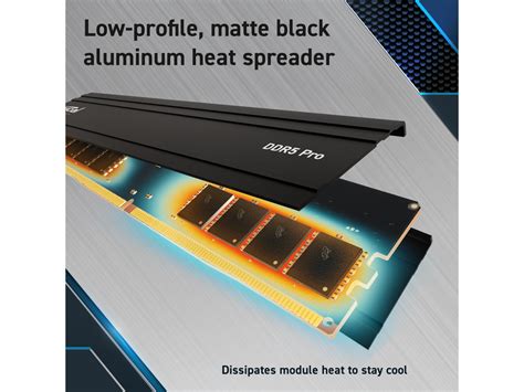 Crucial Pro 64gb 2 X 32gb 288 Pin Pc Ram Ddr4 3200 Pc4 25600 Desktop Memory Model