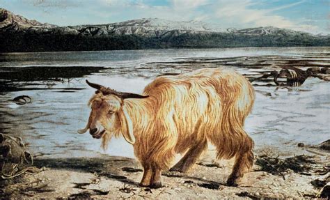 leviticus 16 the scapegoat