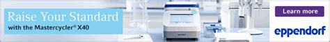 Hplc Calibration Curve Everything You Need To Know
