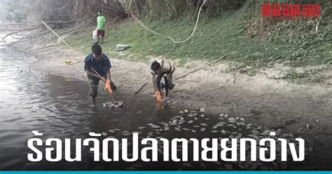 อากาศร้อนจัดปลาใน อ่างเก็บน้ำห้วยน้ำโจน ลอยตายเกลื่อนหนักสุดในรอบ 30 ปี คมชัดลึก