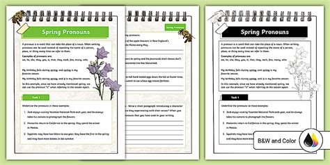 Spring Pronouns Worksheet Spring Resources Twinkl USA