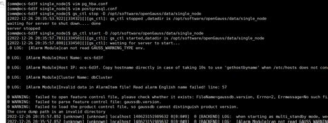Opengauss安装使用（openeuler服务器）openeuler 安装opengauss Csdn博客