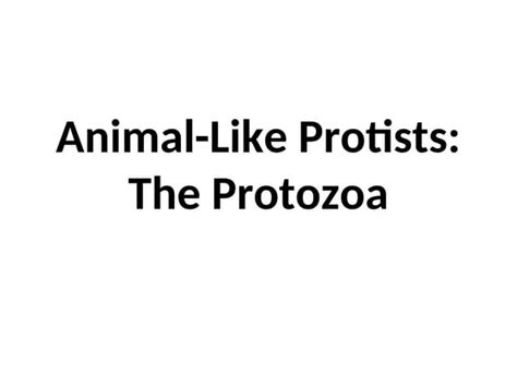Protozoa Structure Ppt