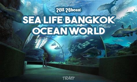 Siam Ocean World Logo Siam Ocean World At Siam Paragon Bangkok