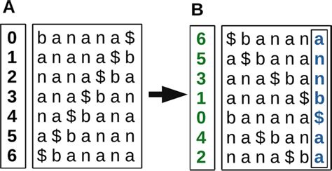 Example Of Generating A Burrows Wheeler Transform For A Given Text A