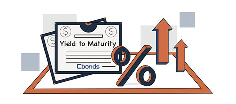 Yield To Maturity 2024