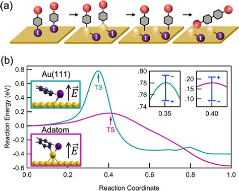 A Schematic Of The Key Steps For The Proposed Ullmann Coupling Download Scientific Diagram