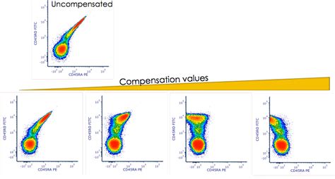 5 Best Practices For Accurate Flow Cytometry Results Cheeky Scientist