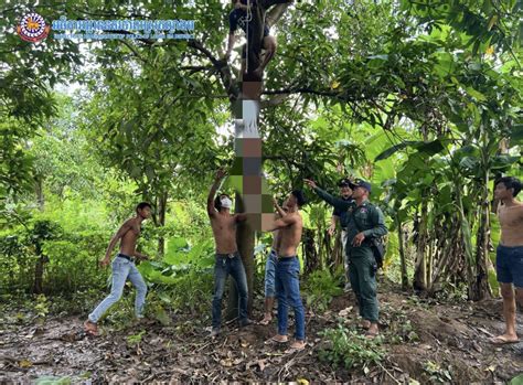 បុរសម្នាក់ចង កបញ្ចប់ជីវិតខ្លួនក្នុងចម្ការស្វាយដោយពុំដឹងមូលហេតុនៅស្រុកល្វាឯម សារព័ត៌មាន នគរវត្ត