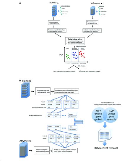 A Overview Of The Data Integration Process And Analysis B Download Scientific Diagram