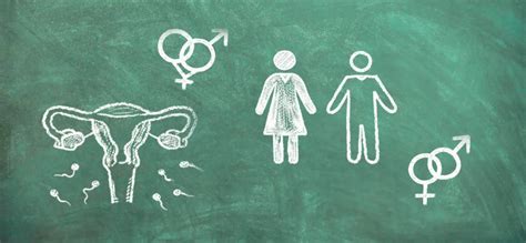 New Research Reveals Gaps In Sex Education And Impact On Young