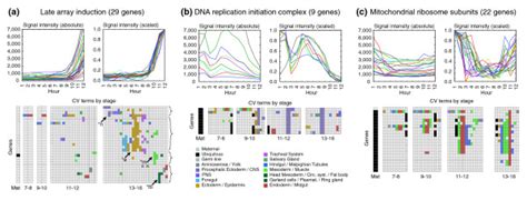 microarray data can supplement but not supplant in situ gene