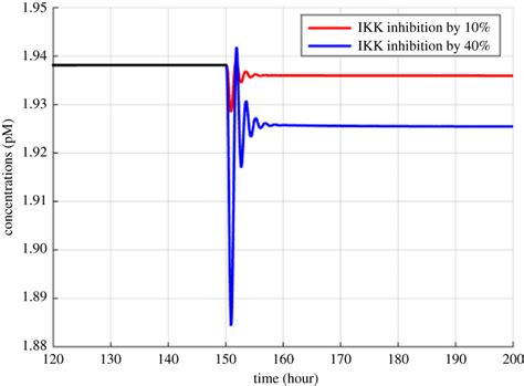 Model Simulations Of The Variation In Mm Cells Due To The Inhibition Of Download Scientific