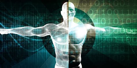 ¿sabes Lo Que Es El Mesodermo