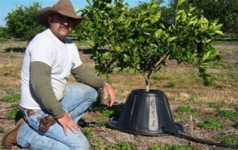 Tree T Pee Net Worth OtakuKart