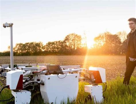 mckinsey s state of ai in 2020 report agile automations automating your workforce