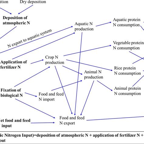 Cause And Effect Relationship Between The Net Anthropogenic Nitrogen