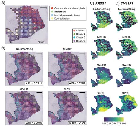 Inf Luence Of Smoothing On Clustering Accuracy In Pdaca1 A Original Download Scientific
