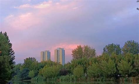 在职研究生和全日制研究生的区别是什么？该怎么选择？ 知乎