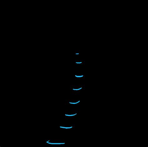 آموزش کشیدن نقاشی درخت نخل
