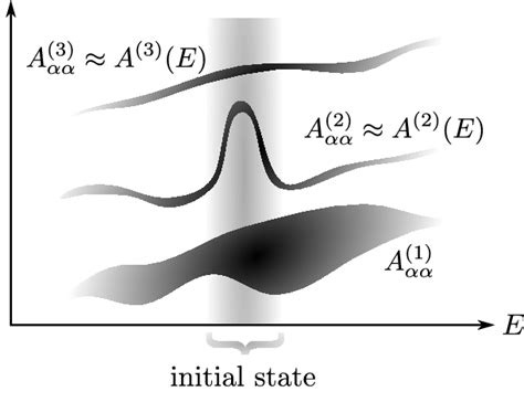 Color Online Sketch Of Possible Distributions Of Eigenstate