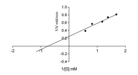 Lineweaver Burk Double Reciprocal Plot For The Determination Of Km