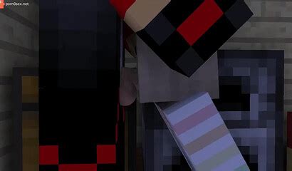 The Guy Made Sex In The Game Minecraft