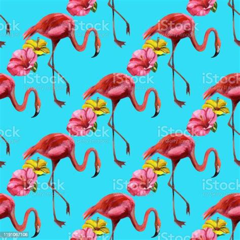 플라밍고 손으로 그리기 장식 배경 수채화 원활한 패턴 섬유 천 벽지 스크랩북 인쇄 0명에 대한 스톡 벡터 아트 및 기타 이미지 0명 긍정적인 감정 표현 깃털 Istock