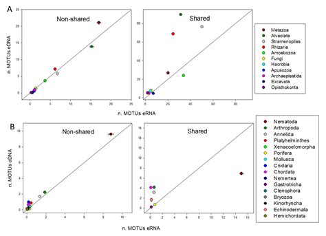 Spatio Temporal Monitoring Of Deep Sea Communities Using Metabarcoding Of Sediment Dna And Rna